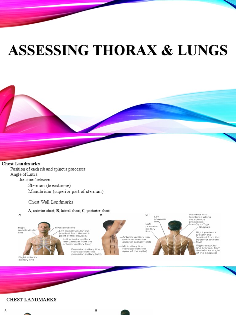 Assessing Thorax and Lung Landmarks | PDF | Thorax | Lung