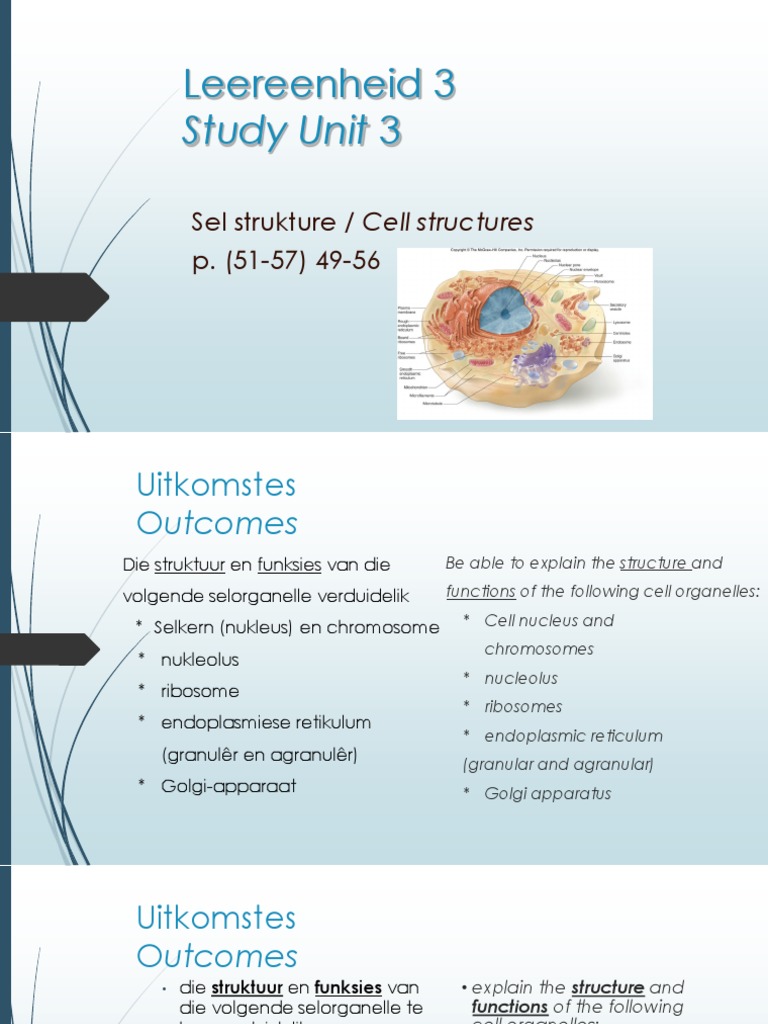 FLGX113 SU3.3 and SU 3.4 | PDF | Endoplasmic Reticulum | Cell Nucleus