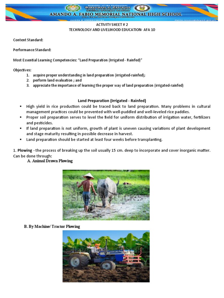 Activity Sheet AFA 10 M2 | PDF | Plough | Rice