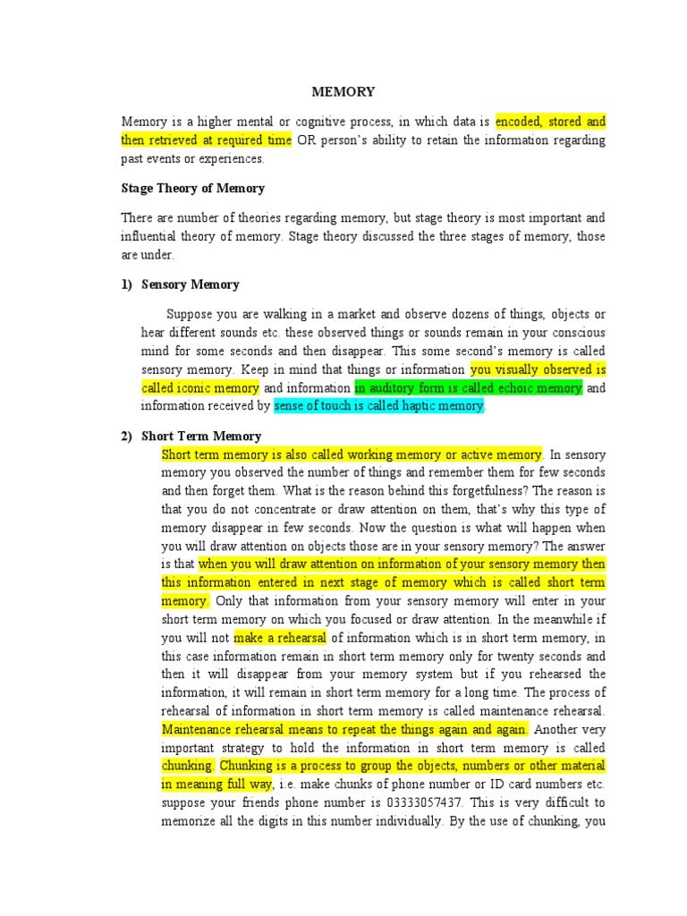 Memory 1 Pdf Memory Perception