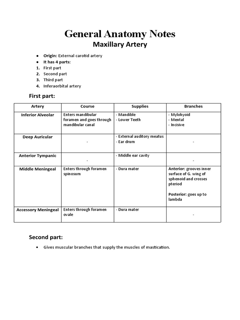 5 - Maxillary Artery & Pterygoid Veinous Plexus | PDF | Human Anatomy ...