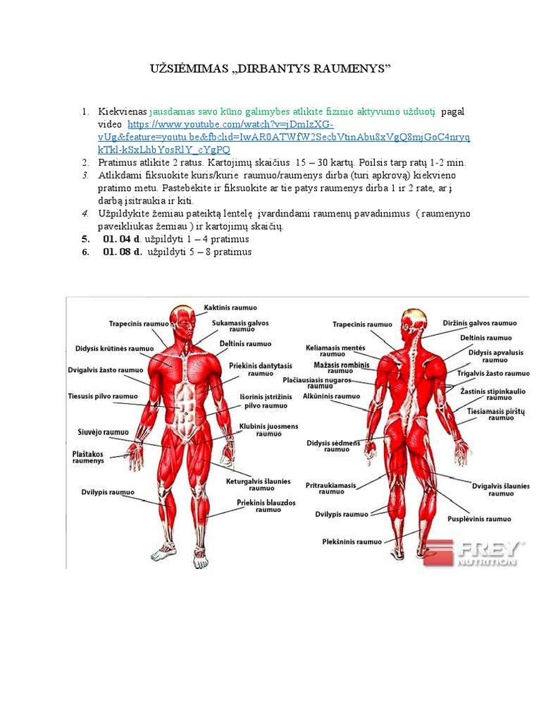 7 - 8 KL - Dirbantys Raumenys | PDF