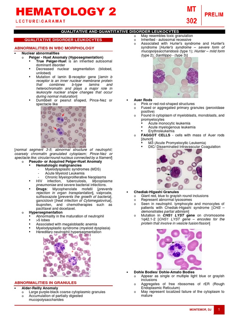 Hema2 Lec Lab 1 | PDF | Hematology | Diseases And Disorders