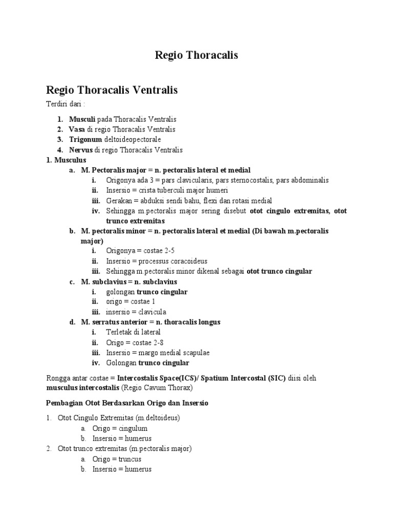 Anatomi Regio Thoracalis Ventralis | PDF