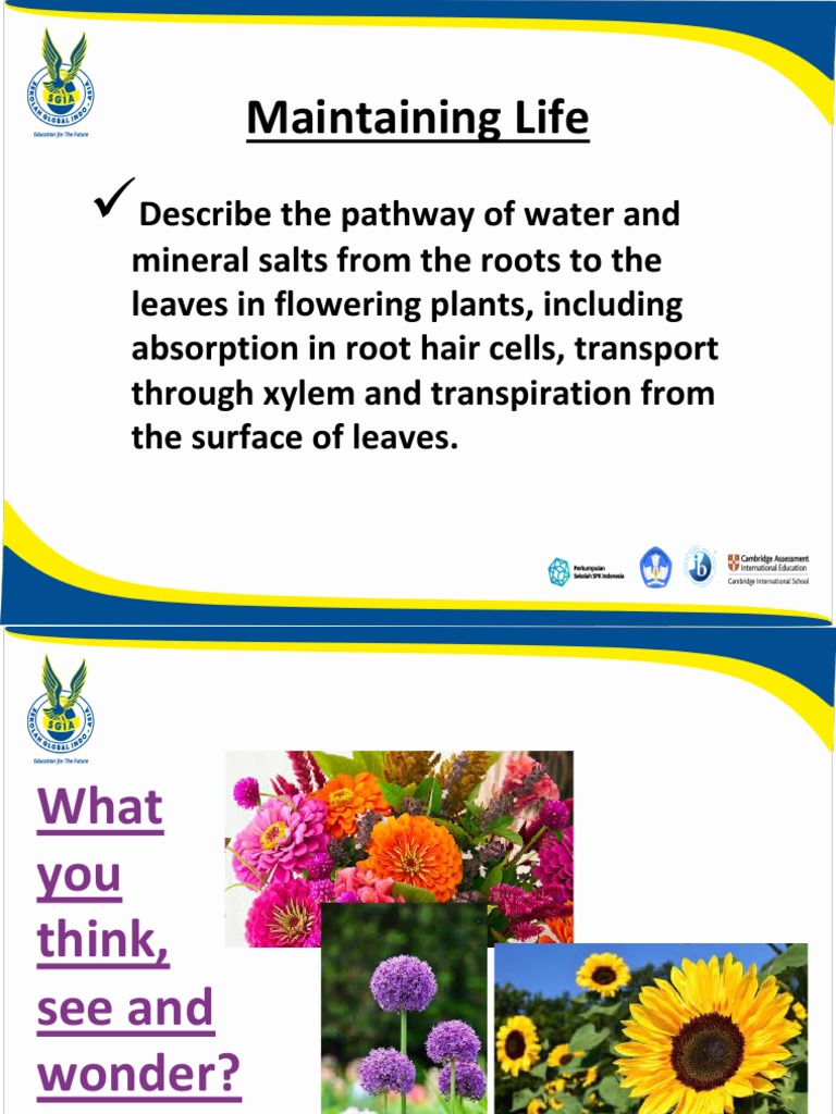 Maintaining Life | PDF