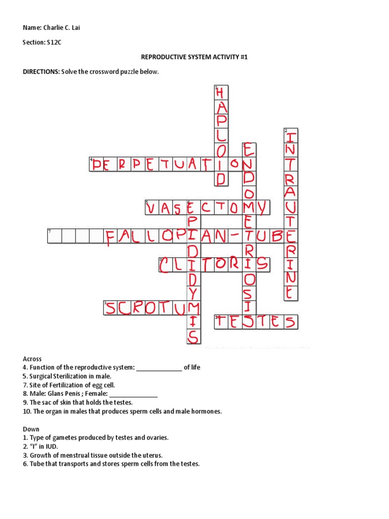 Reproductive System Activity #1 DIRECTIONS: Solve The Crossword Puzzle ...