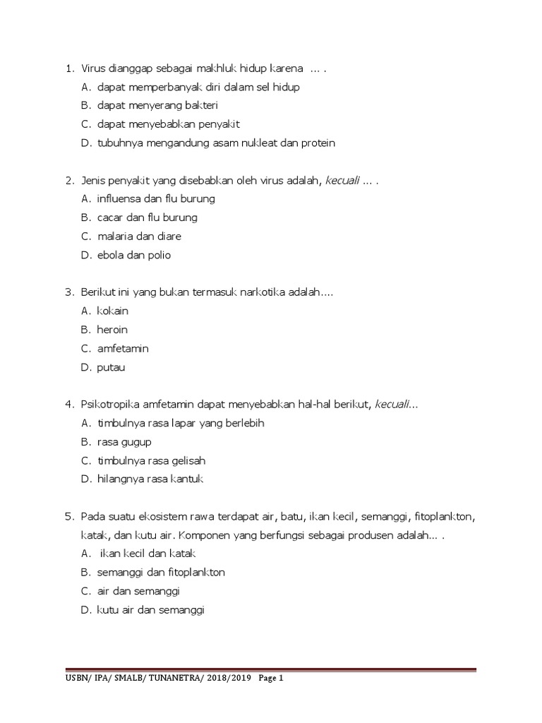 USBN/ IPA/ SMALB/ TUNANETRA/ 2018/2019 Page 1 | PDF | Ilmu Sosial | Kajian Bahasa Asing