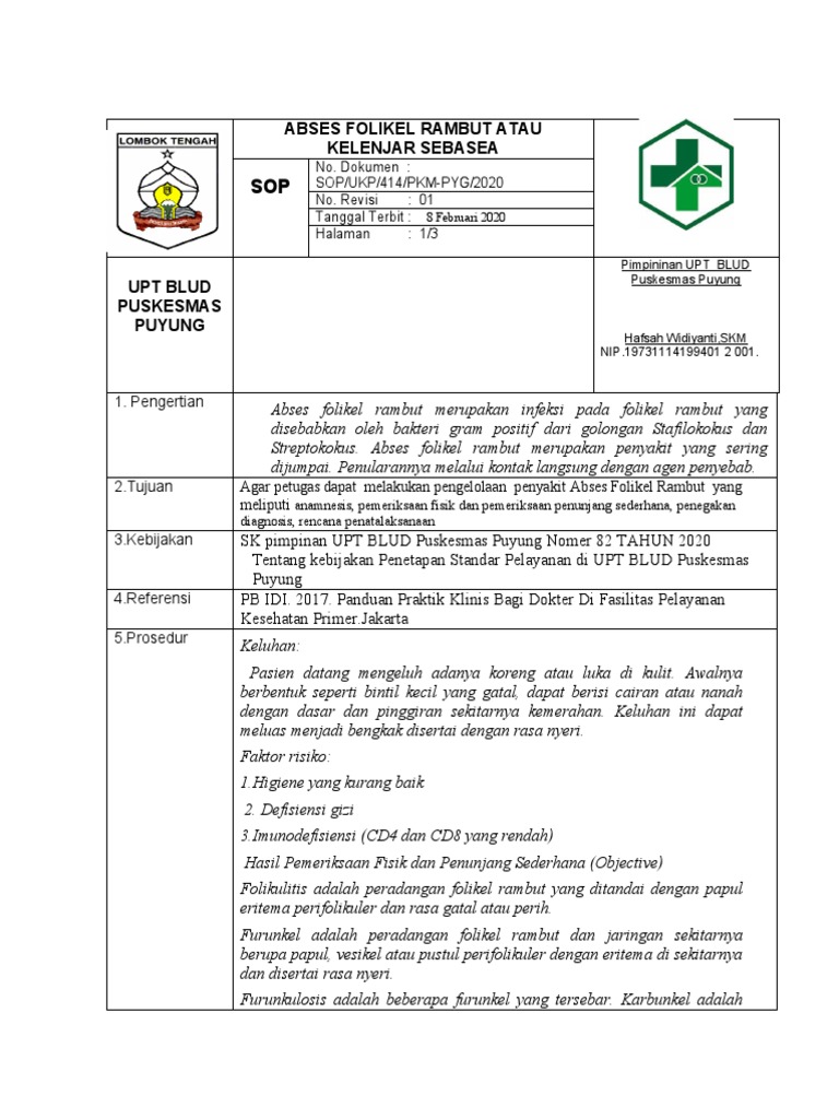 80.abses Folikel Rambut Atau Kelenjar Sebasea | PDF