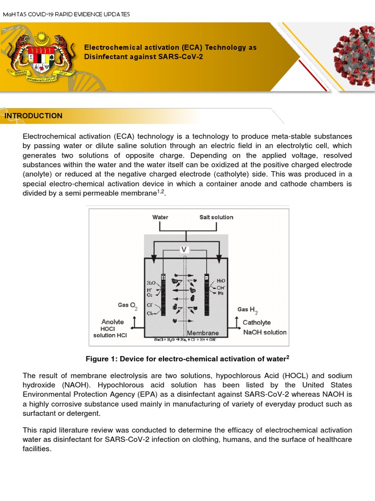 15 Electrochemical Activation (ECA) Technology As Disinfectant Against ...