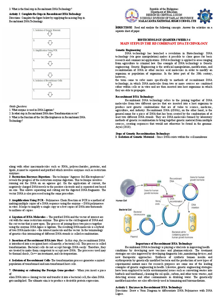 Biotech Q3 WK 5-6 | PDF | Recombinant Dna | Molecular Cloning