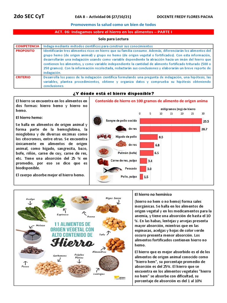 SESION SEGUNDO P8 ACT 06 Alimentos Ricos en Hierro | PDF