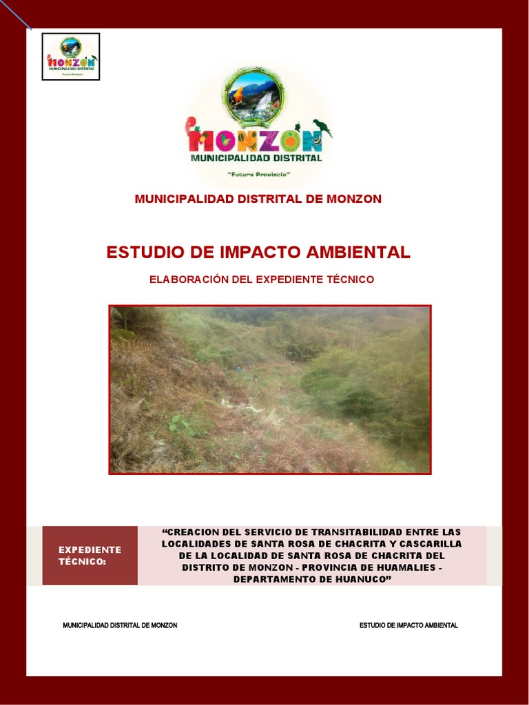 Estudio de Impacto Ambiental Chacrita Dos | PDF | Evaluación de impacto ambiental | Entorno natural