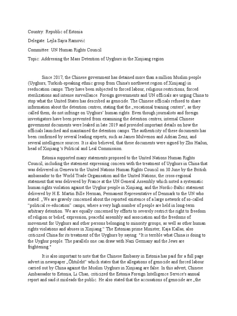 Estonia Position Paper 1 | PDF | Human Rights | Rights