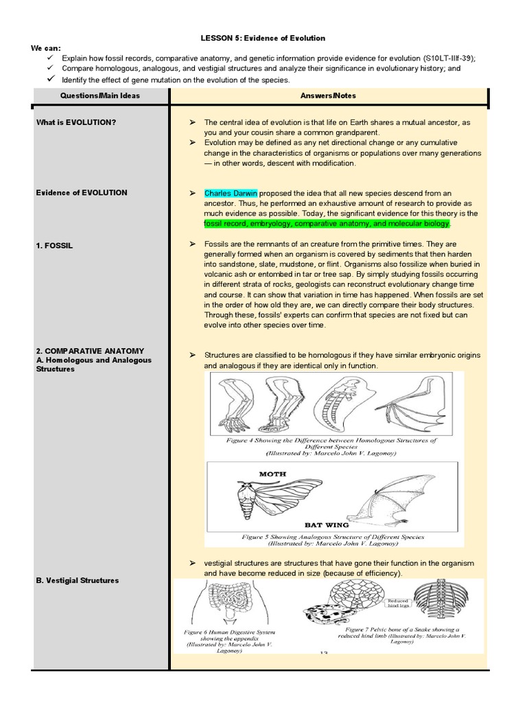 Guided Notes Lesson 5 | PDF | Evolution | Fossil