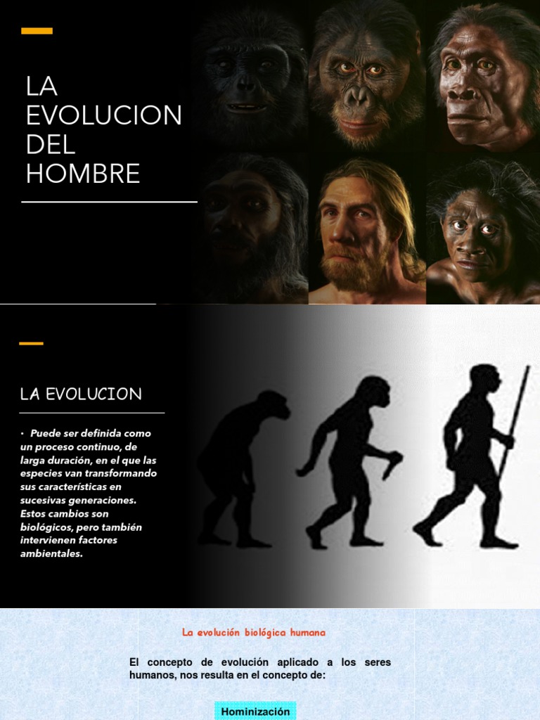 Evolución del Hombre: Proceso y Etapas | PDF | Evolución humana | Homo