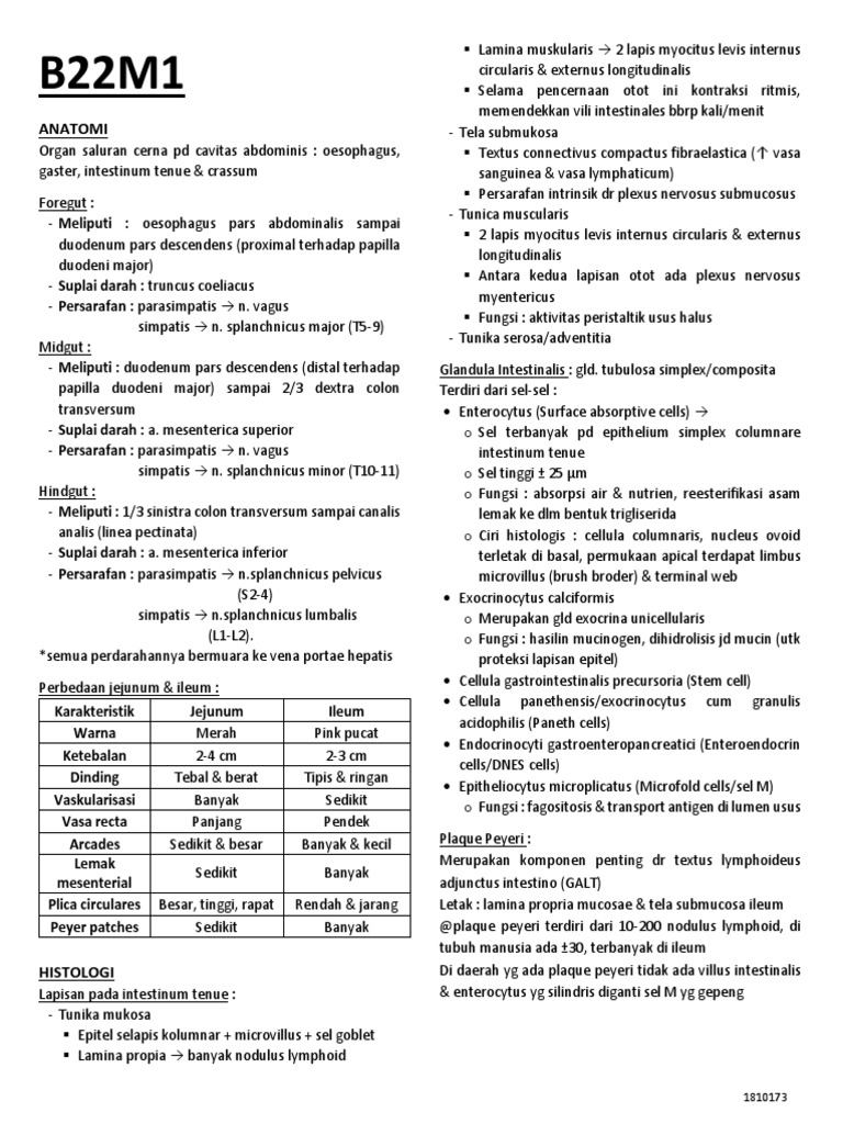 B22M1 Demam Typhoid (Catatan Soca) | PDF