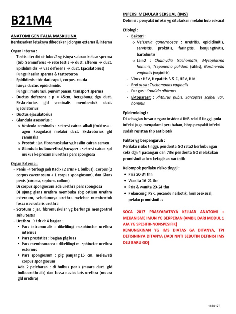 B21M4 GONORRHEA (CATATAN SOCA) | PDF