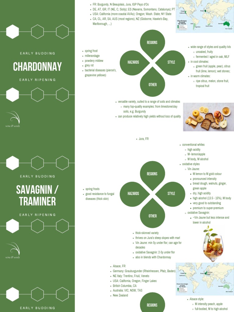 WSET4 Grape Varieties - Mindmaps - v2023 03 05 | PDF | Wine Grape ...