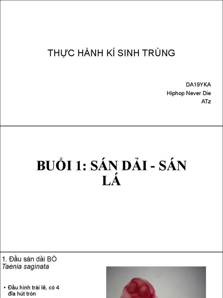 TH C Hành Kí Sinh Trùng: Da19Yka Hiphop Never Die Atz | PDF