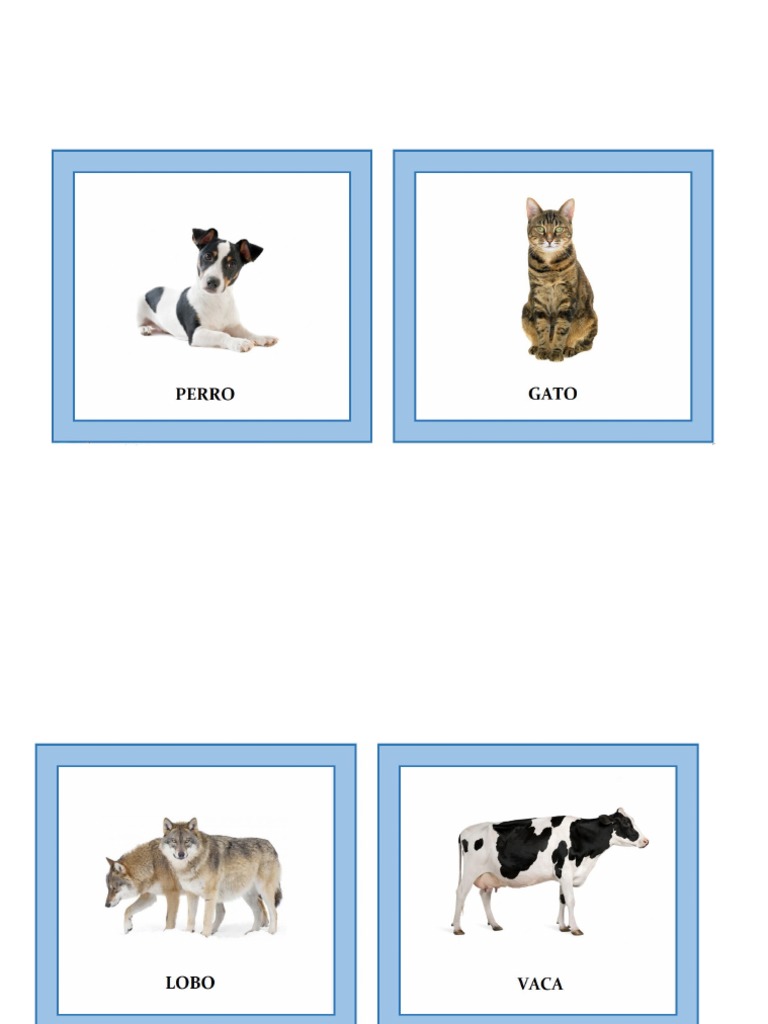 Laminas Animales | PDF