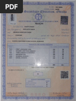 CBSE 11th Class Marksheet Sample | PDF | Schools