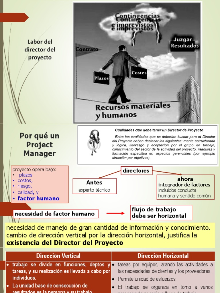 Caraceristicas de Un Director de Proyectos | PDF | Riesgo | Liderazgo