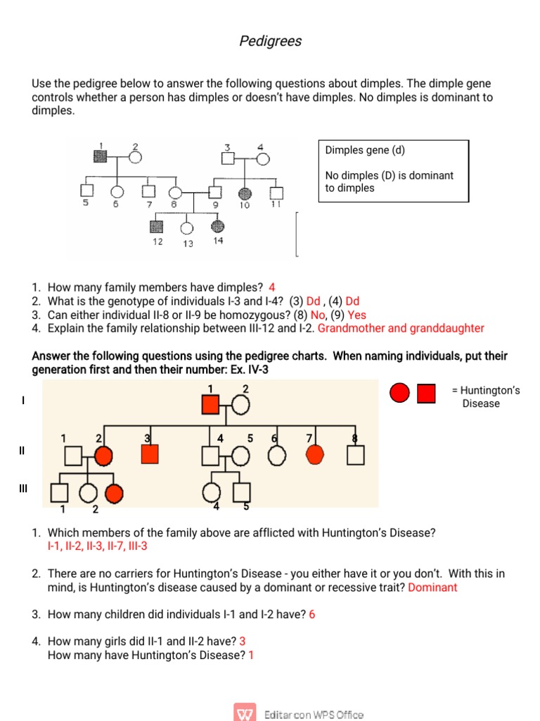 Pedigrees: Dimples Gene (D) No Dimples (D) Is Dominant To Dimples | PDF ...