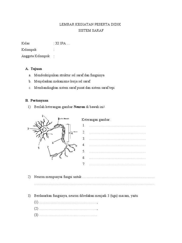 LKPD Sistem Saraf 01 | PDF