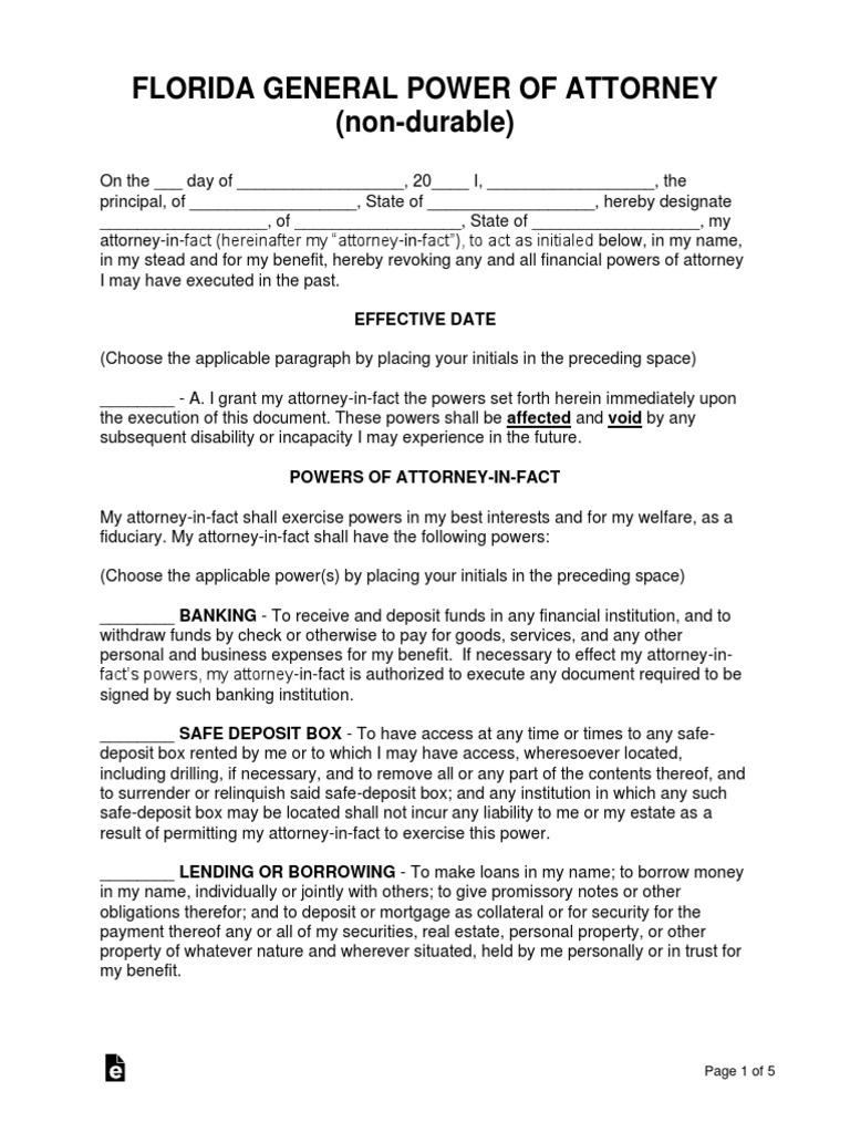 Florida General Power of Attorney Form | PDF | Power Of Attorney ...