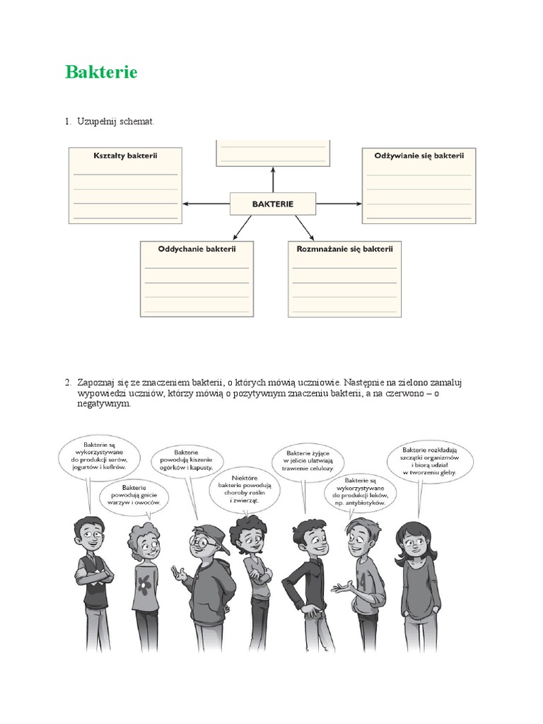 Karta Pracy Bakterie | PDF