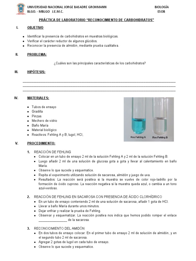 Práctica de Laboratorio "Reconocimiento de Carbohidratos" I. Objetivo | PDF | Carbohidratos ...