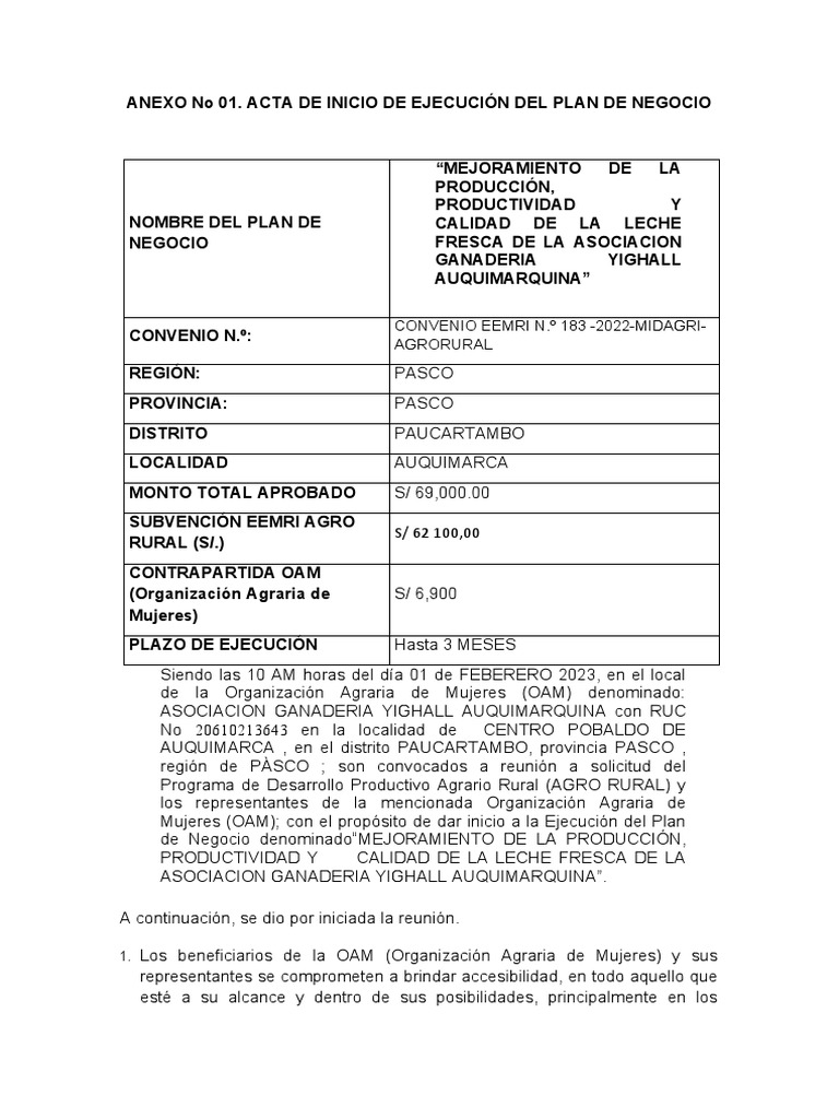 ANEXO No 01 y 11 Aprobado | PDF