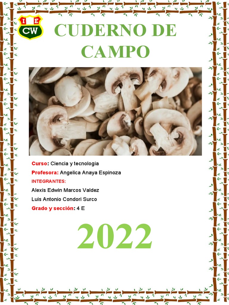 Caratula de Cyt | PDF | Tecnología