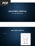 1 - Anatomia Dental de Dentes Multiradiculares | PDF | Dentina | Dente