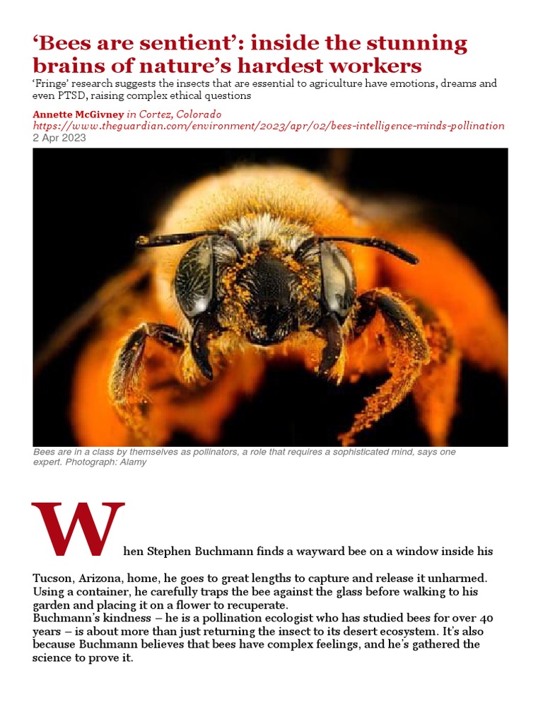 Bees Are Sentient | PDF | Honey Bee | Pollination