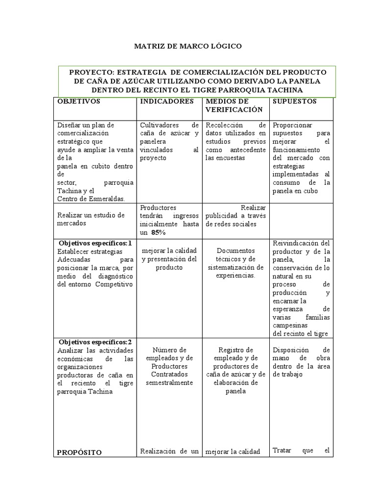 Matriz de Marco Lógico | PDF | Marketing | Publicidad