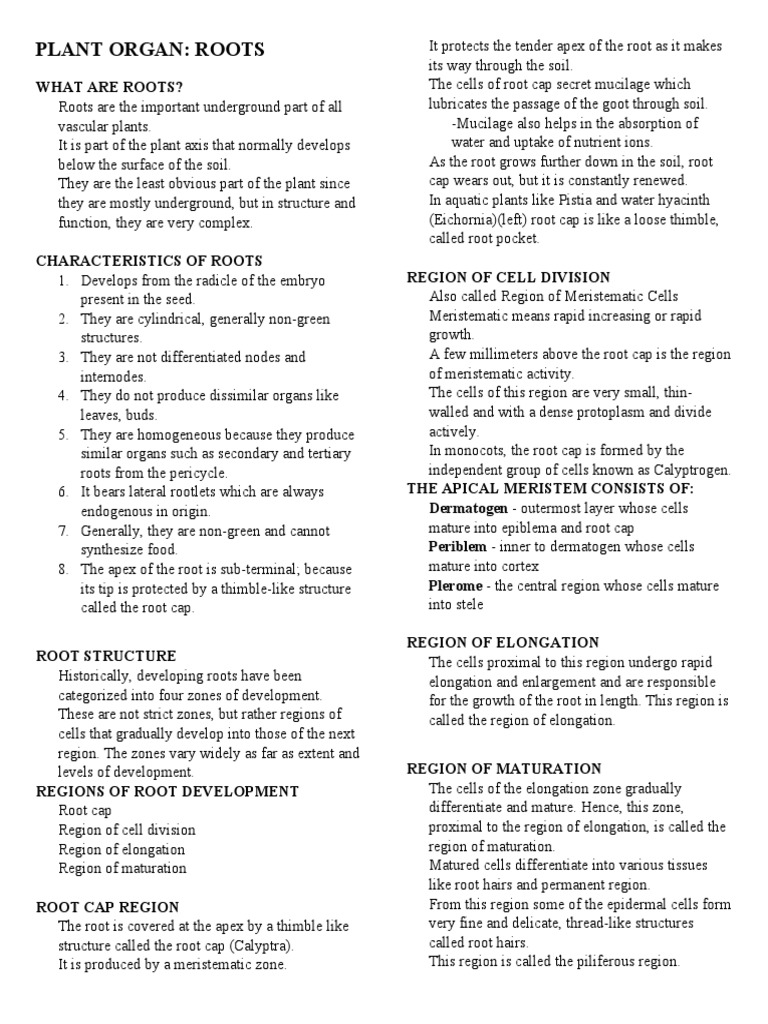 Botany Roots | PDF | Tissue (Biology) | Root