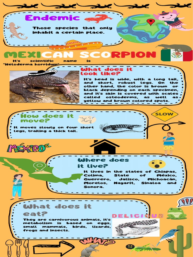 Mexican Scorpion | Download Free PDF | Organisms