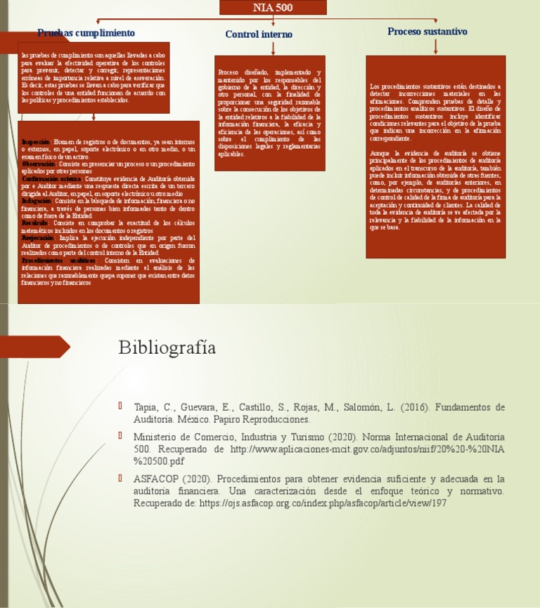 Pruebas de Auditoria | PDF | Auditoría | Contralor Pruebas de Auditoria | PDF | Auditoría | Contralor
