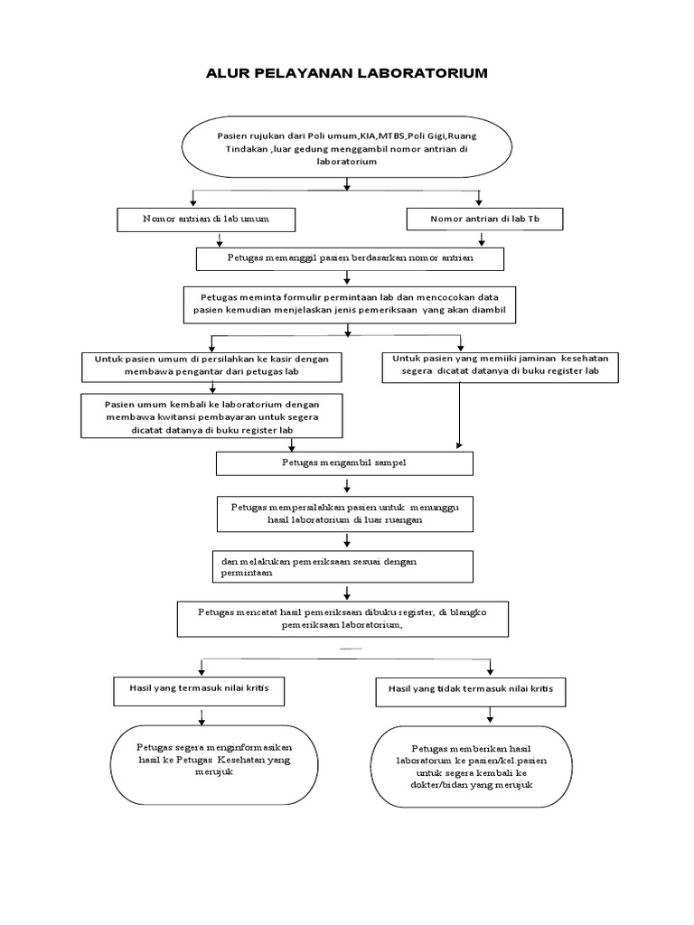 Alur Pelayanan Laboratorium | PDF