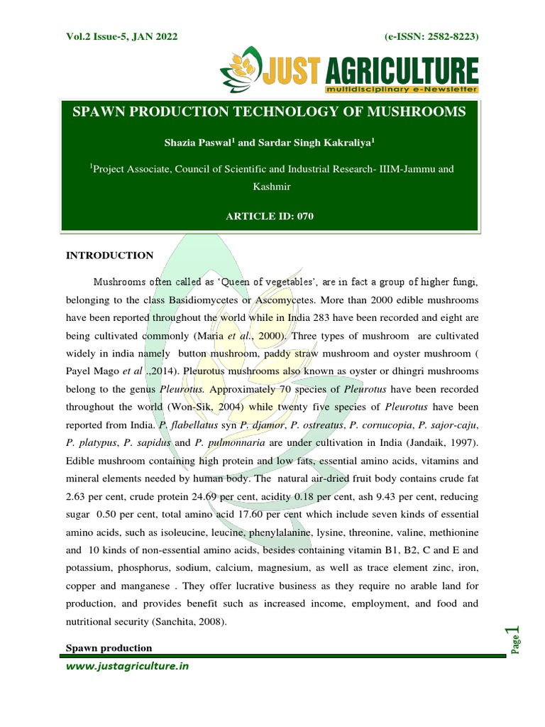 Spawn Production Technology of Mushrooms | PDF | Mushroom | Mycology