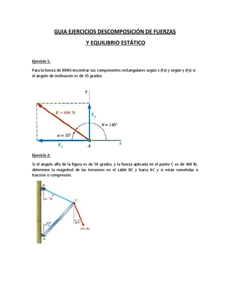 Guía Descomposición de Fuerzas | PDF