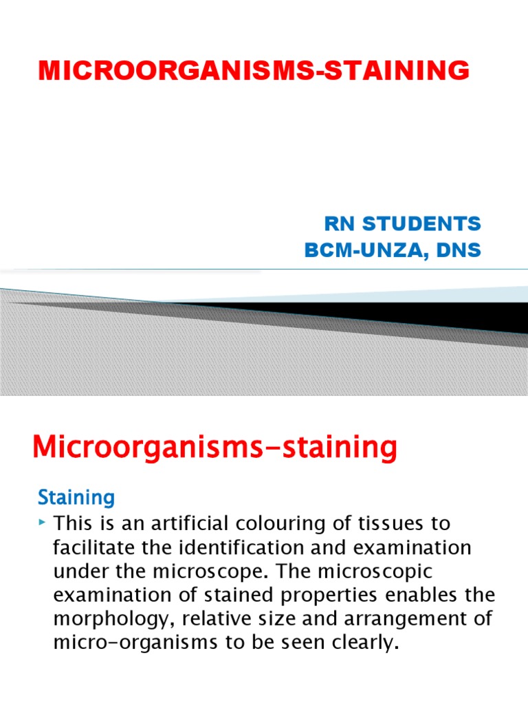 Microorganisms Staining | PDF | Staining | Bacteria