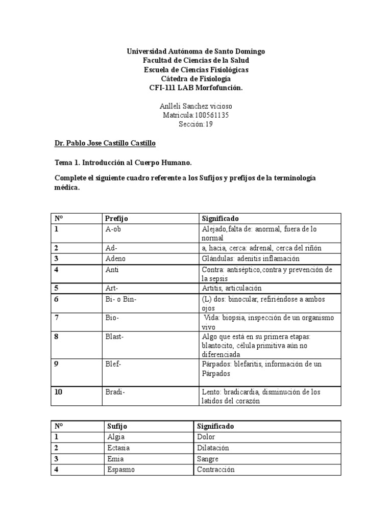 Tarea de Los Prefijos y Sufijos | PDF