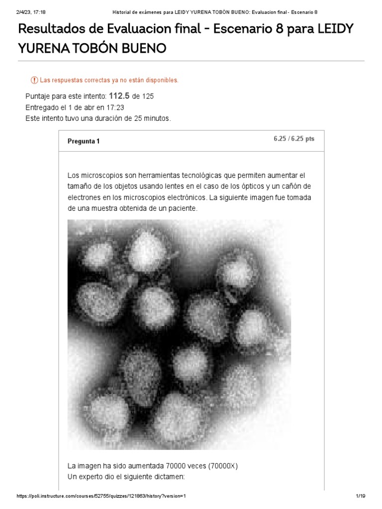 Resultados de Evaluacion Final - Escenario 8 para LEIDY Yurena Tobón Bueno | PDF | Digestión ...