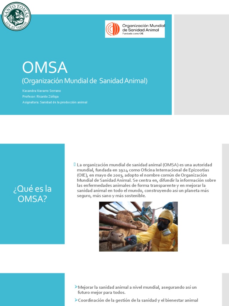 Organización Mundial de Sanidad Animal | PDF | Medicina Veterinaria ...