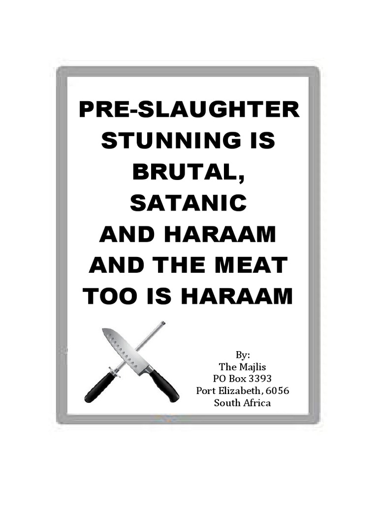 STUNNING IS HARAAM - Booklet | PDF | Fatwa | Sharia