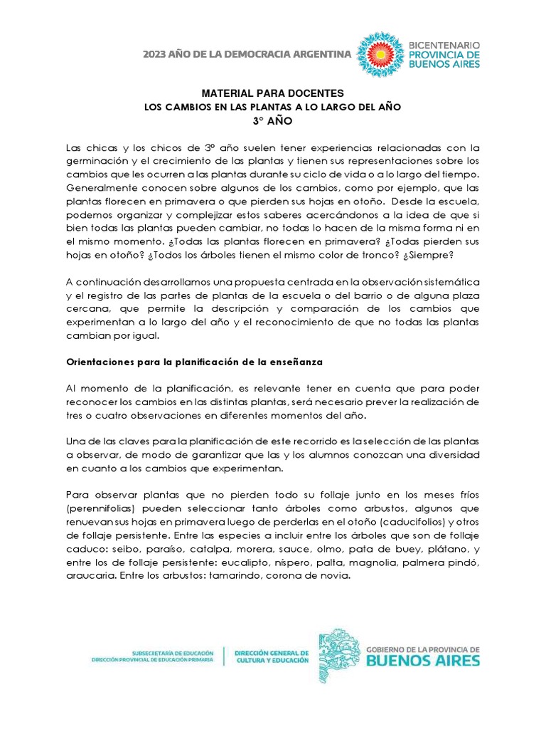 Las Plantas y Sus Cambios Docentes 3° | PDF | Plantas | Arboles