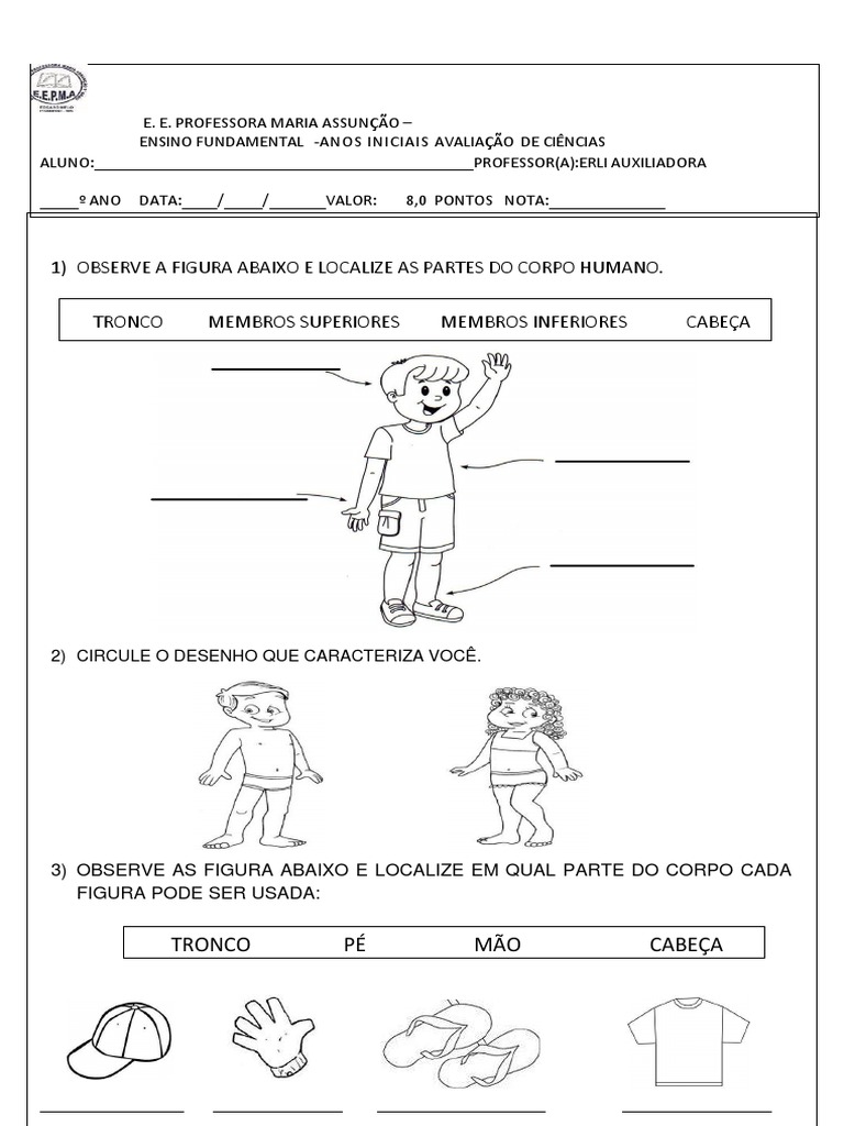 1) Observe A Figura Abaixo E Localize As Partes Do Corpo Humano. Tronco ...