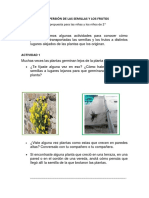 Cambios en Plantas: Secuencia Didáctica 3° | PDF | Plantas | Raíz
